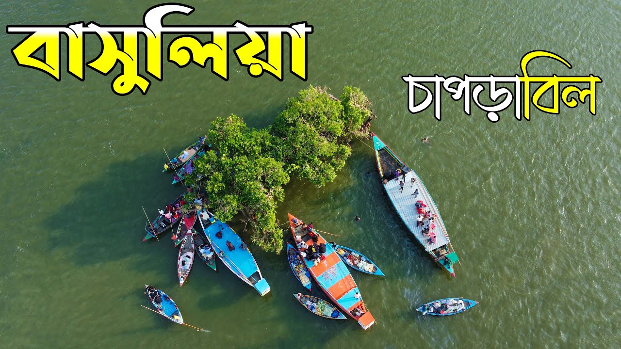 বাসুলিয়া চাপড়াবিল || Basulia Chaprabil Tangail || Nature Travel BD ...