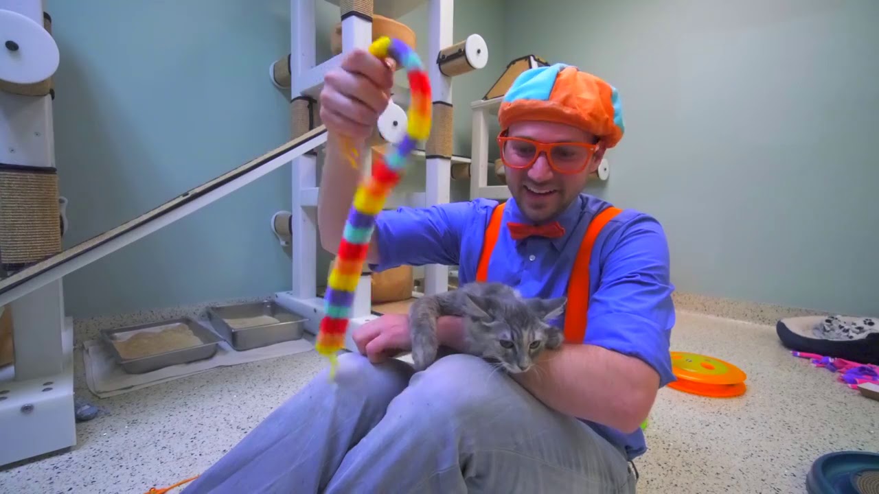 Blippi Toys! Blippi Visits an Animal Shelter Learn Animals for Children ...