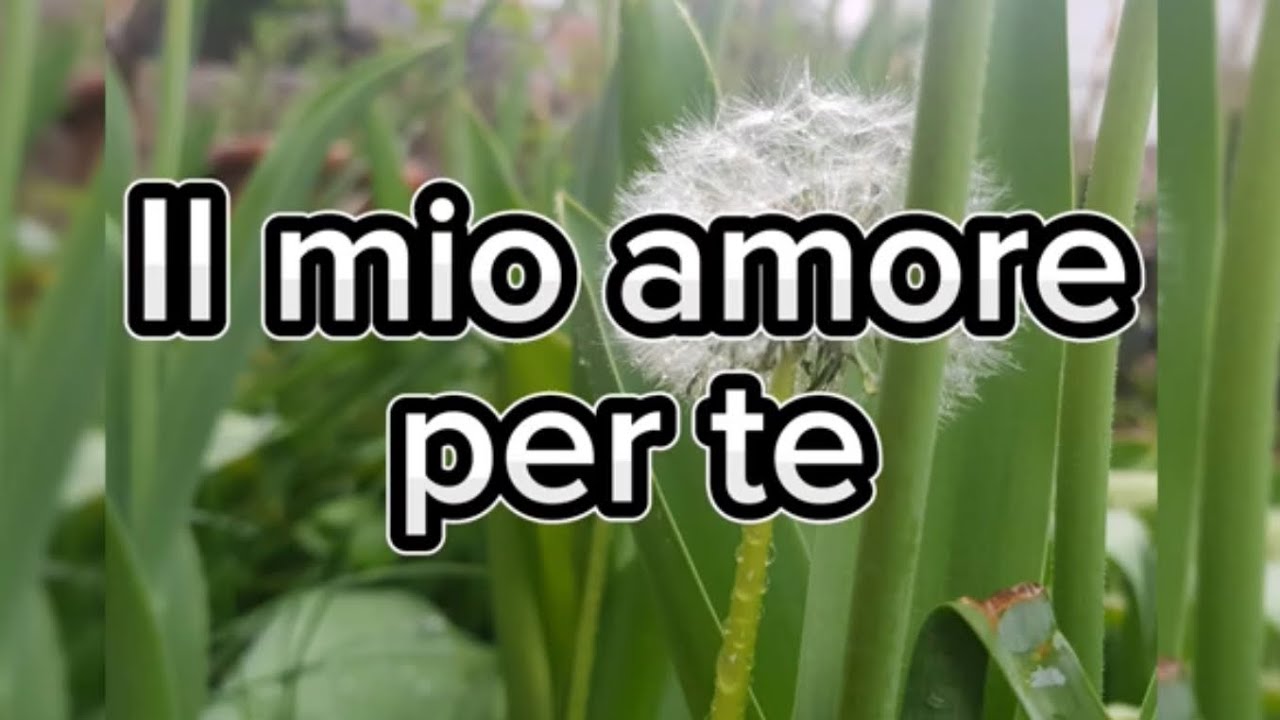 Il mio amore per te #dedicadamore - YouTube