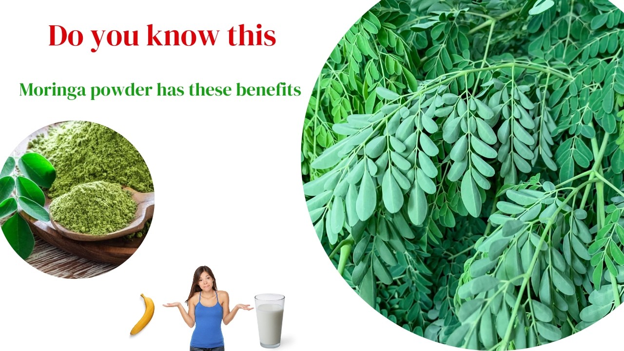 Do you know about these facts abouts Moringa Powder | Purevista ...