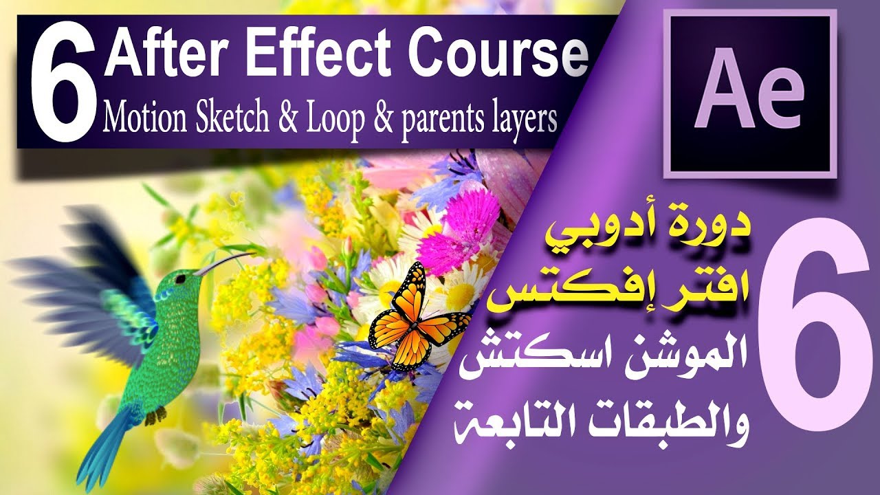 6# دورة افتر افكت | المحاضرة السادسة | الموشن اسكتش | Adobe After ...