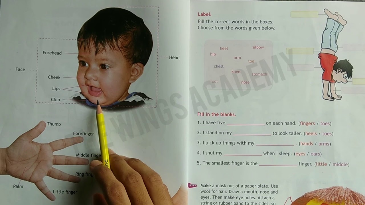 Science Class -1 Chapter -1 Parts Of The Body - YouTube