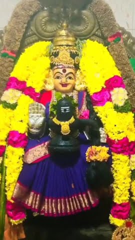 ashtbhuja Durgai amanakku Siva Poojai Alangaram - YouTube