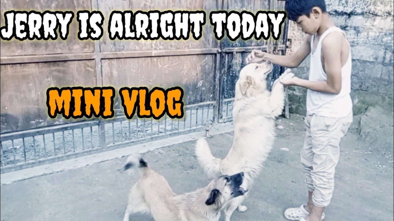 Jerry is alright today//Andy surprise gift 🎁to me// #@Tage's family vlogs - YouTube