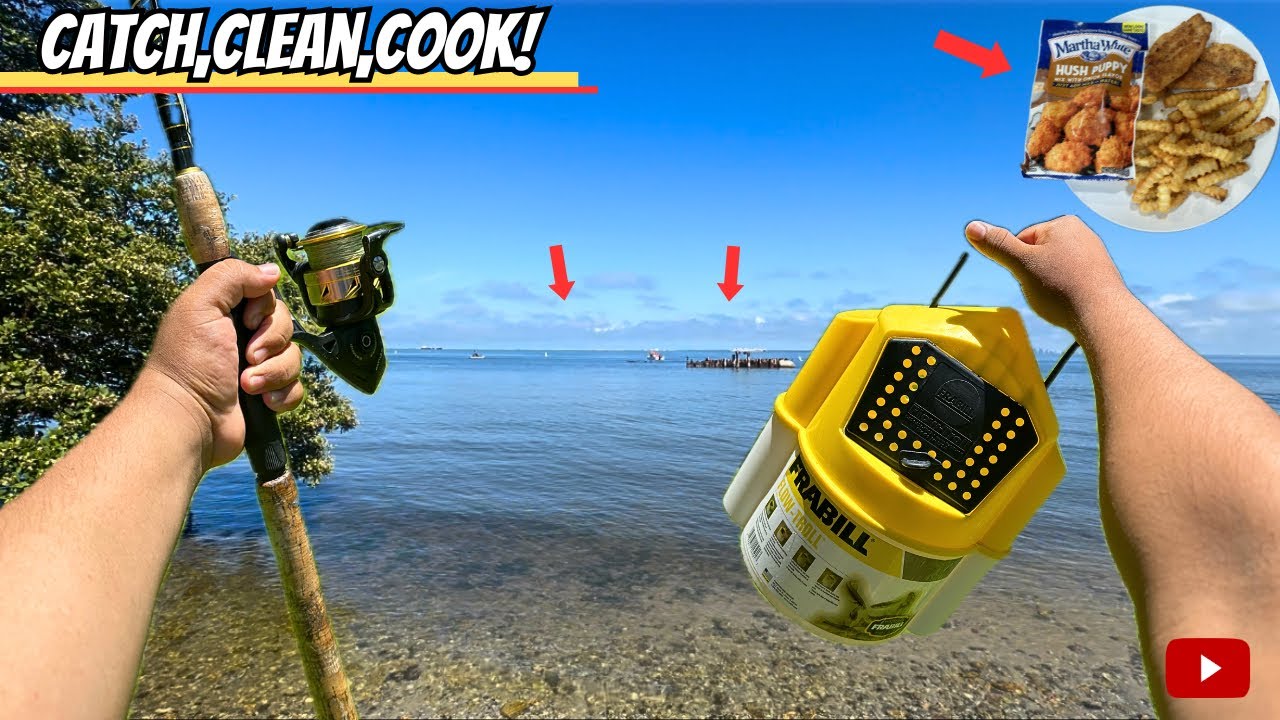 Eating the FIRST fish I CATCH with LIVE BAIT! (Saltwater Fishing in ...
