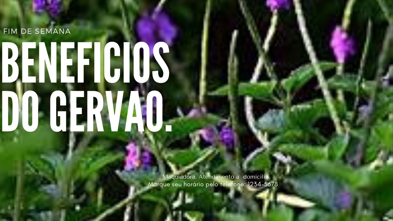 Depois que você descobrir esse benefícios do gervão, vai mudar sua ...