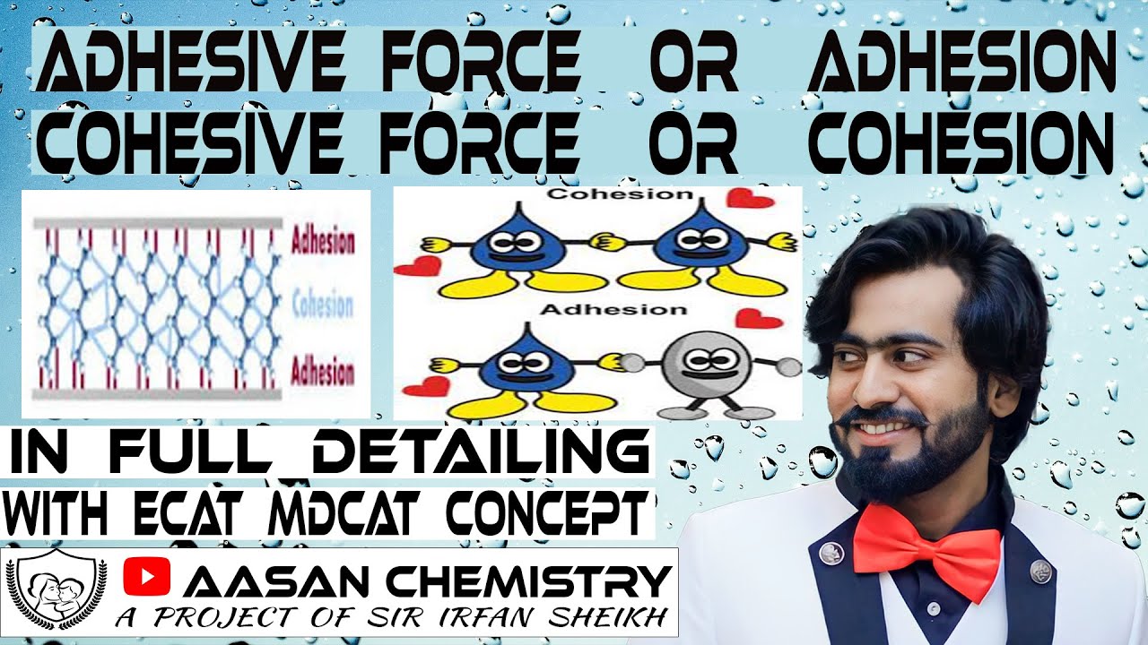 Cohesive Force | Adhesive force | Cohesion | Adhesion | Aasan Chemistry ...