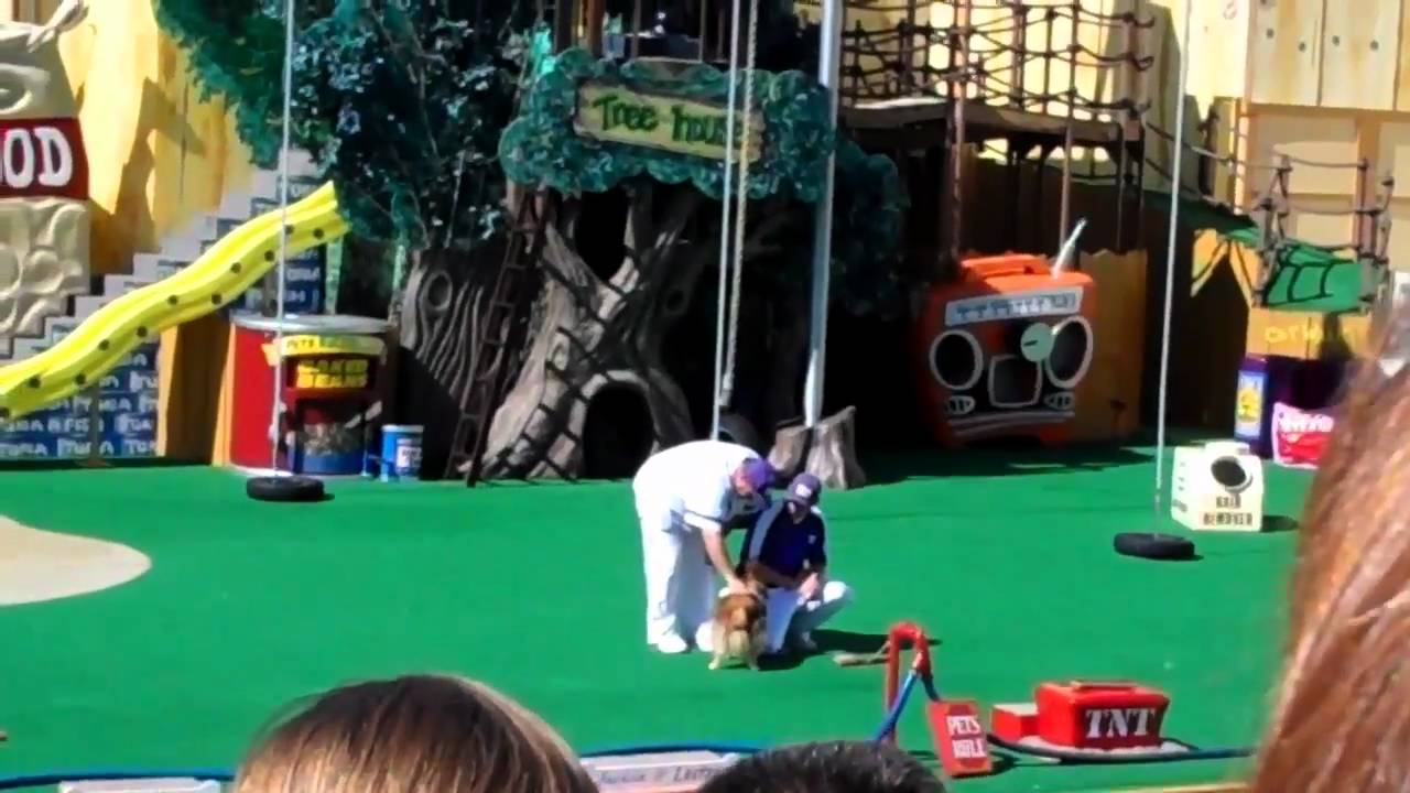 Pets Rule! Show Seaworld 2011 Part 3/3 - YouTube