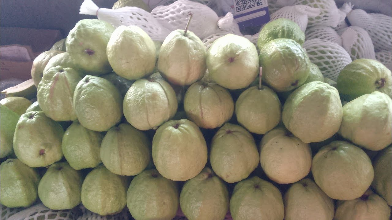 Manjari network Official is live! new video - YouTube