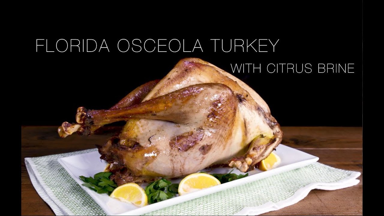 Florida Osceola Turkey With Citrus Brine - YouTube