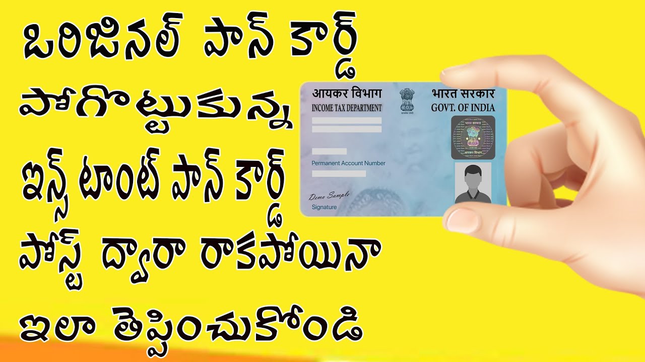 How To Get Your Lost Or Never-received Pan Card For Free Through The ...