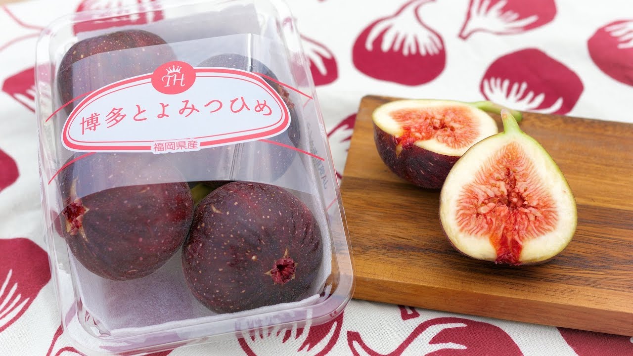 All About "Toyomitsuhime" Figs! - YouTube