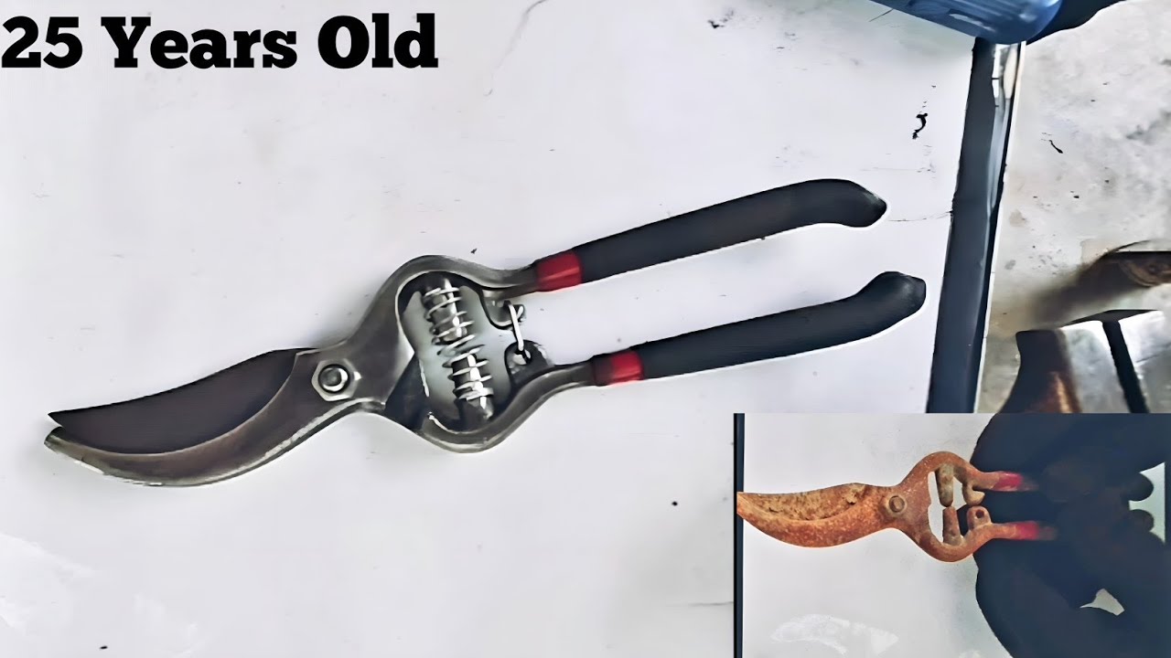 Rusty Plant Pruning Shear Flowers Cutter Restored #restoration - YouTube