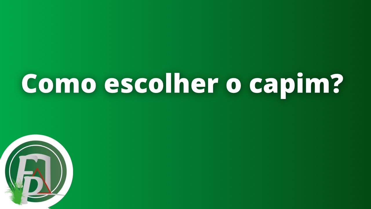 COMO ESCOLHER O CAPIM - YouTube