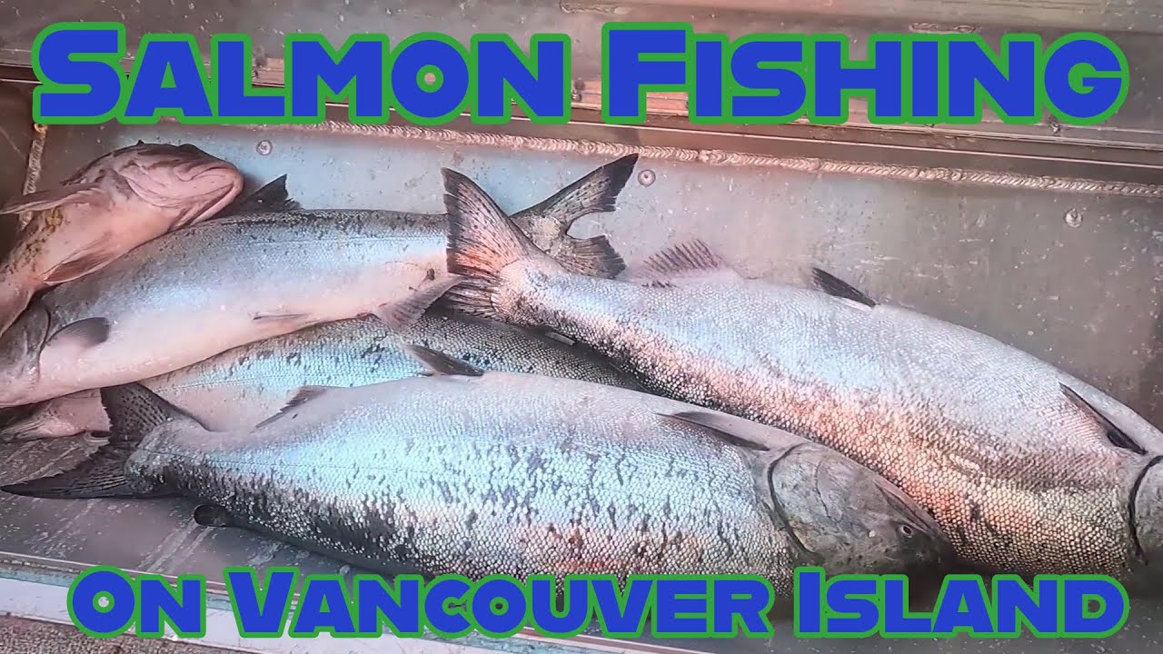 Salmon Fishing On Vancouver Island - YouTube