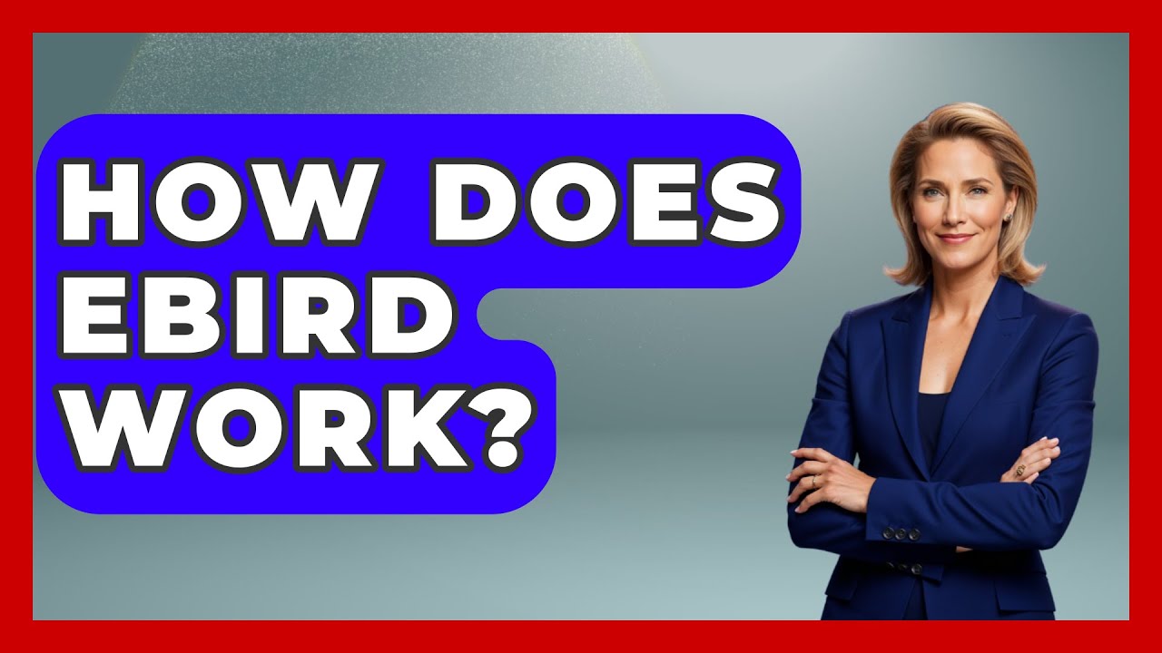 How Does eBird Work? - Bird Watching Diaries - YouTube