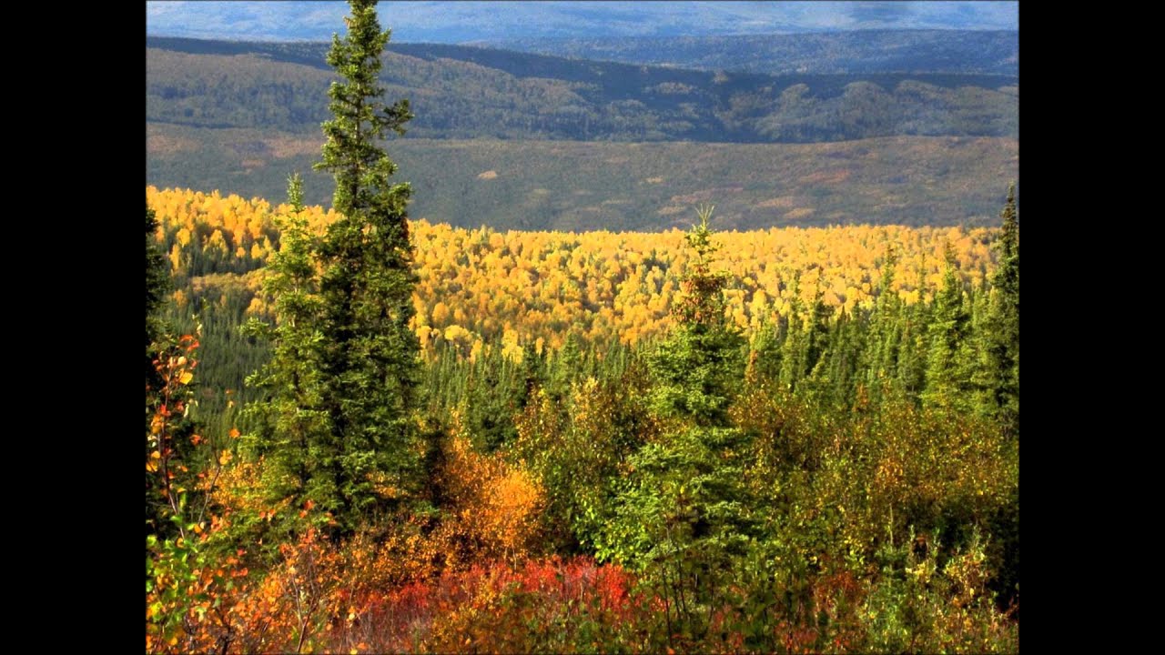 Alaska - God's Country - YouTube