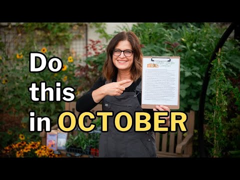 OCTOBER GARDEN TIPS: Don't Skip These!