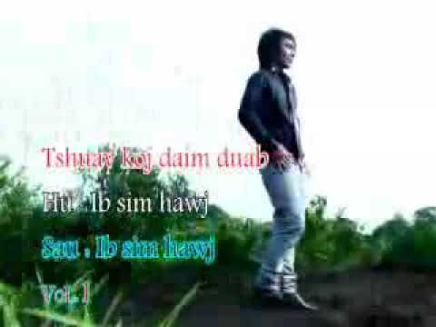 Tshuav koj daim duab _ by _ ib sim hawj 2019