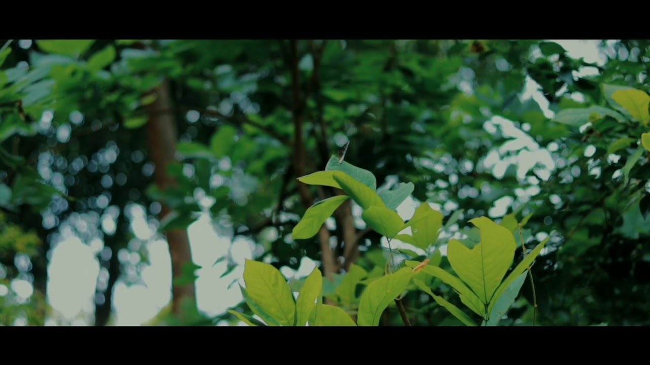 Time | Cinematic film by Arjun Sandil - YouTube