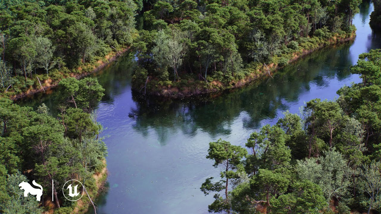 The Pine Environment | Unreal Engine 5 & PCG: Realistic Nature Scene - YouTube