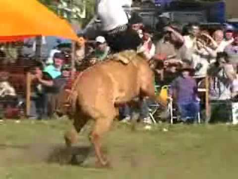 EL BAILE DEL CABALLO CRIOLLO 0001 - YouTube