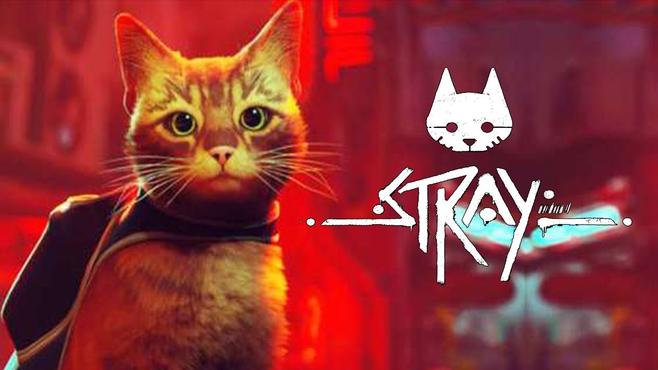 Stray - First ever Stream - YouTube