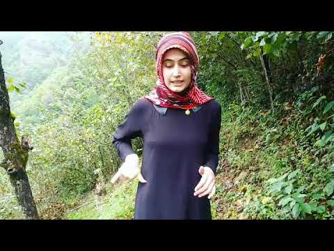 İşaret Dili-Salih Yılmaz-Şelale