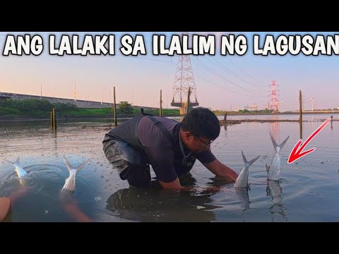 Tahimik Ang Lugar Na Ito Ngunit Nasa Ilalim Ang Malalaking Nakatira 
