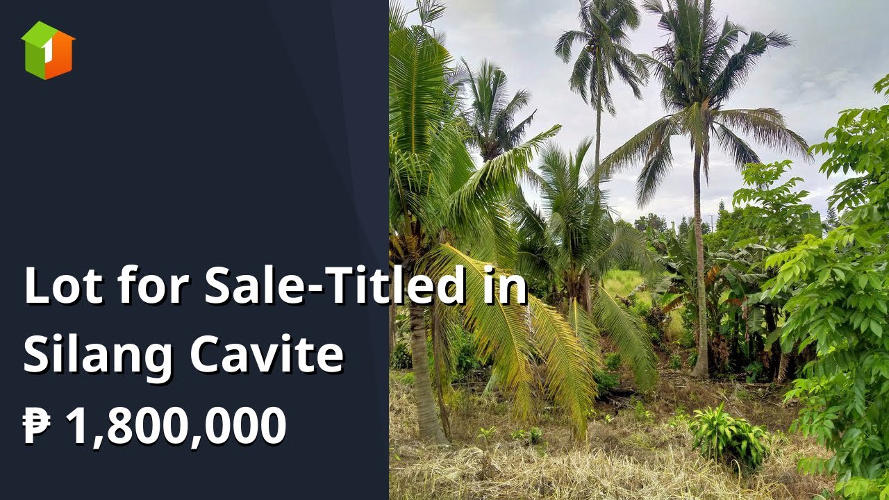 Lot for Sale-Titled in Silang Cavite - YouTube