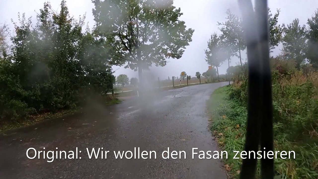 Kdenlive HowTo: Objekte zensieren / schwarzer Balken in unter 3 Minuten ...