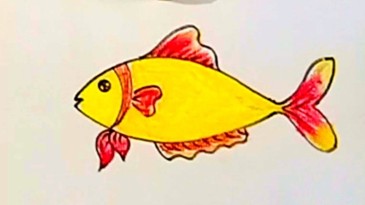 how to draw color fish drawing morgina drawing - YouTube