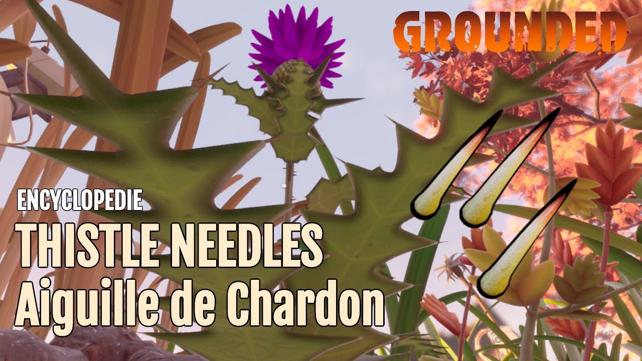 Grounded - Thistle Needles - Les Aiguilles de Chardon - L'encyclopédie ...