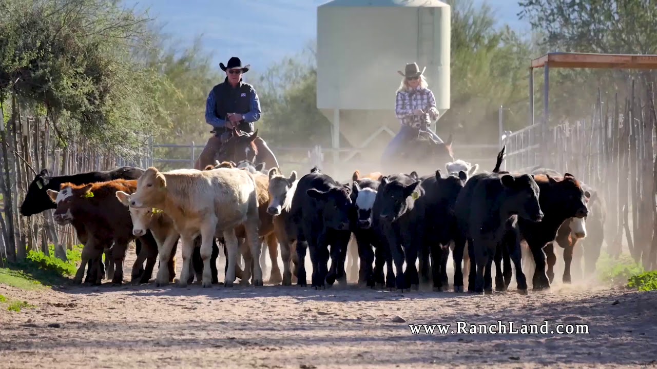 Arizona Ranches for Sale - Almosta Ranch | Mason & Morse Ranch Company ...