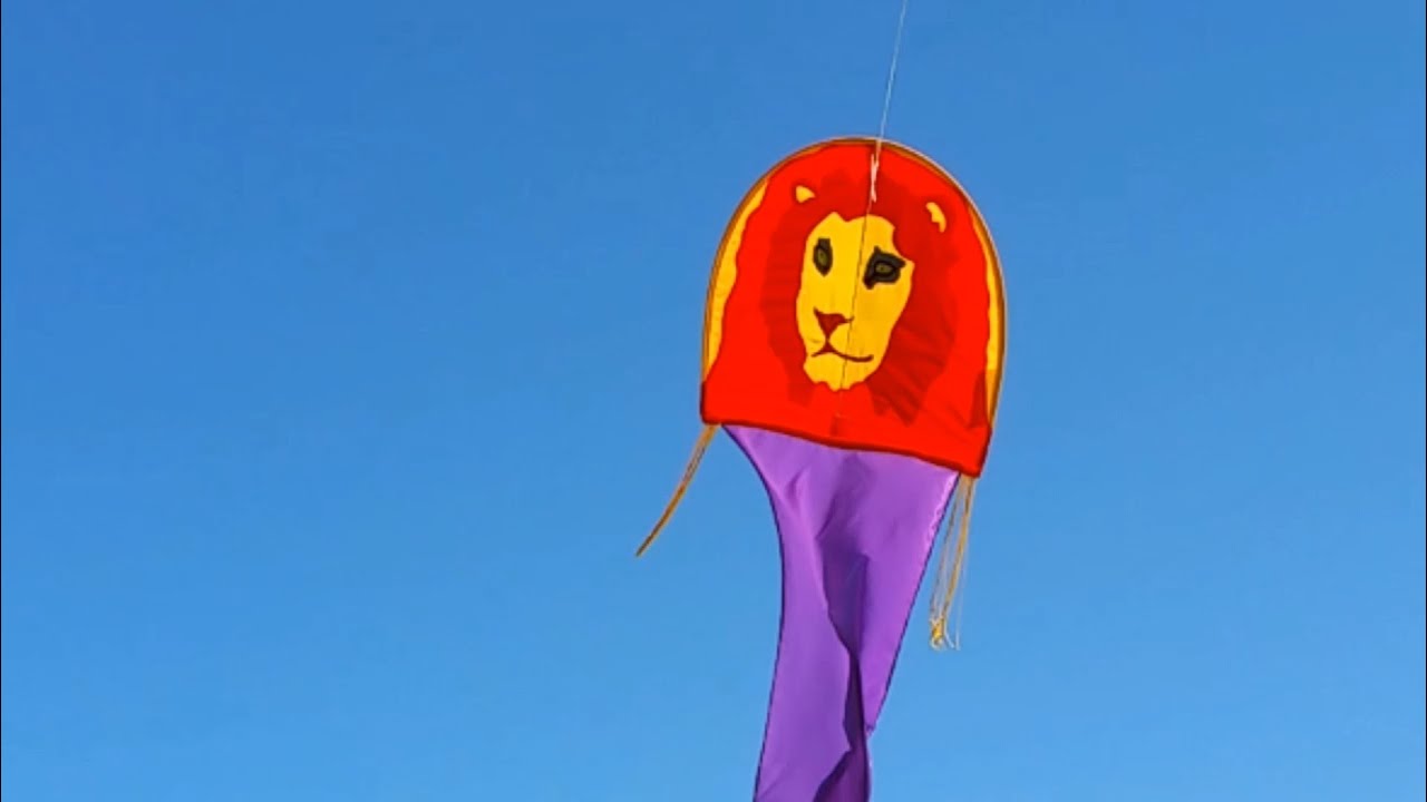 White Bird Kites - Lion - YouTube