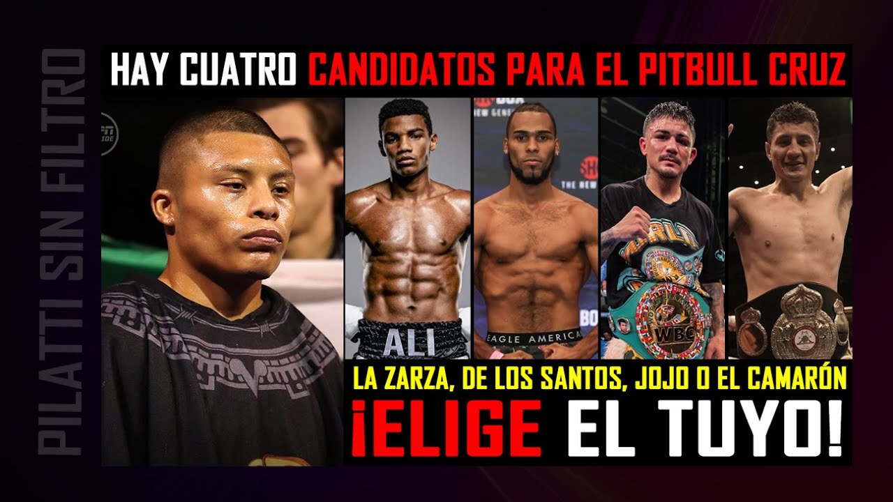 ¿Quién le pone el bozal al Pitbull? ¿La Zarza, De los Santos, JoJo o El ...