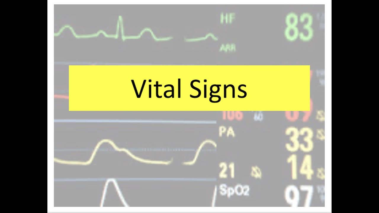 Chapter 11 Vital Signs - YouTube