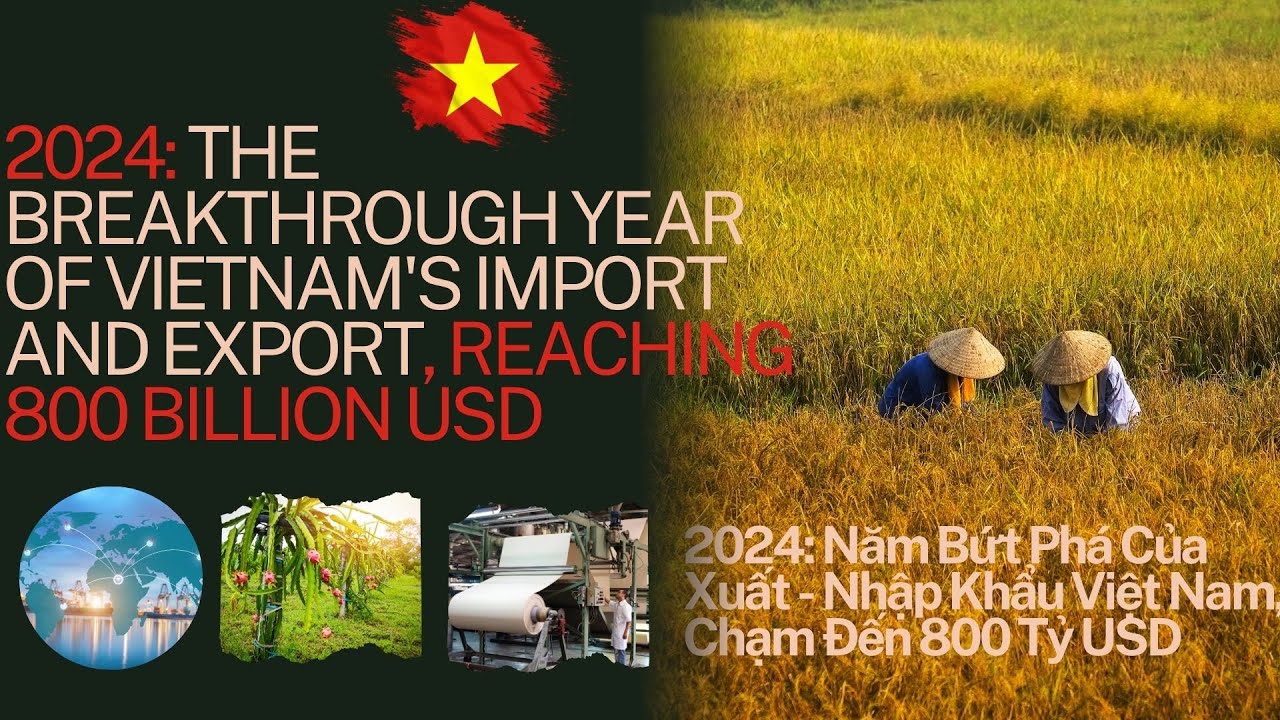 2024 The Breakthrough Year Of Vietnam's Import And Export, Reaching 800 ...