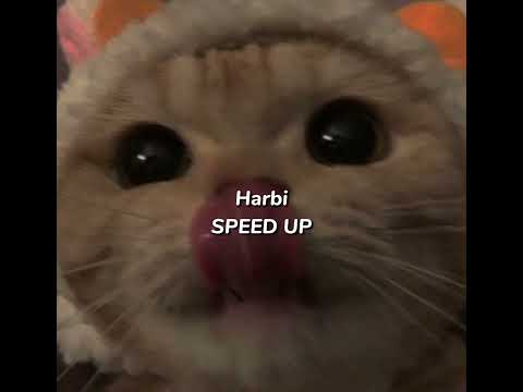 Ragıb Narin / Uzunmakarna | HARBİ |