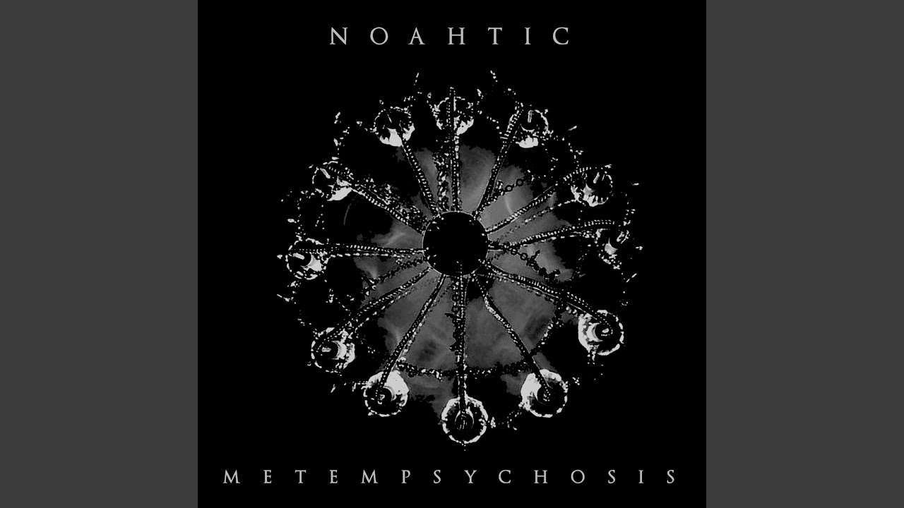 Mutual dependence - YouTube