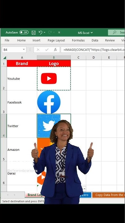 New feature | Insert Logo Inside Cell using Image Formula in #excel ...