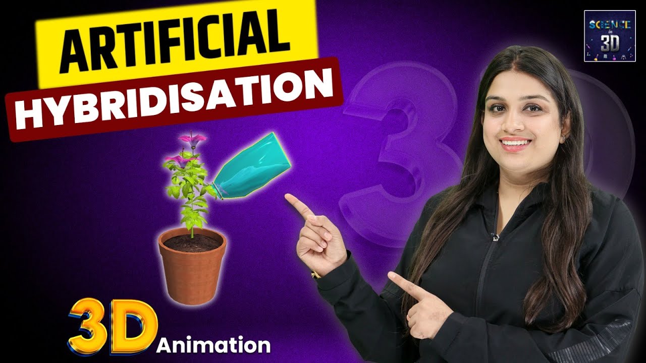 Artificial Hybridisation 3D Animation by Reena Rao - YouTube