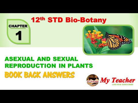 12th Bio Botany Chapter-1 Book Back Answers | My Teacher - YouTube