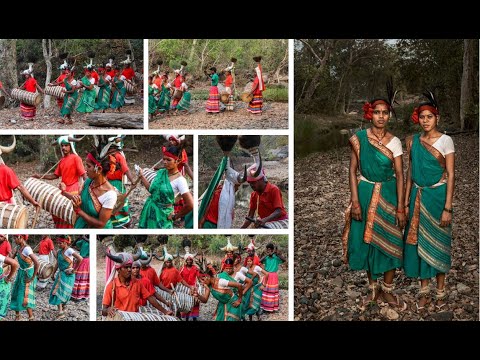 Kommu Koya Dance of Koya Tribe of Andhra Pradesh - Hindi - YouTube