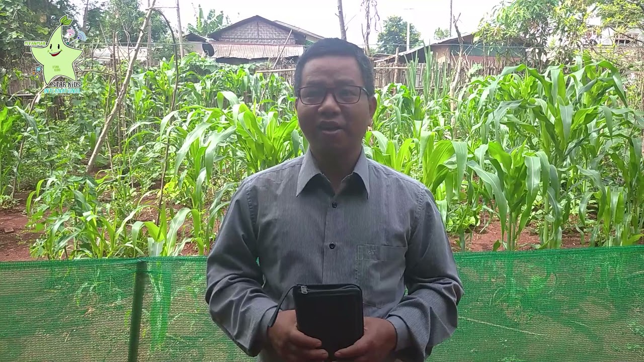 Sar Kids-Myanmar - YouTube