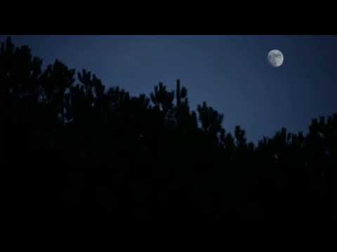 Dana baker und Charles baker hat eine schönen Nacht  arbor demon filmclip 2016 Fiona dourif