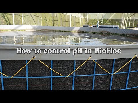 IMF Society | How to Control pH in Biofloc System | Biofloc - YouTube