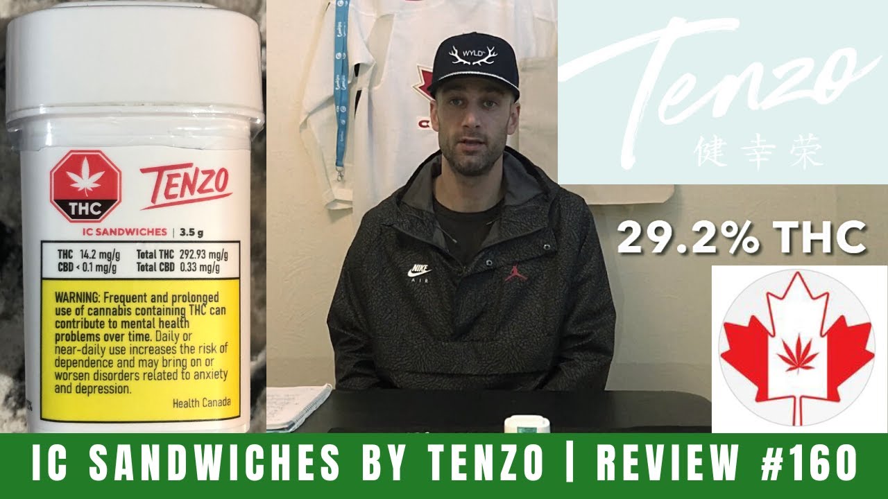 IC SANDWICHES by Tenzo | Review #160 - YouTube