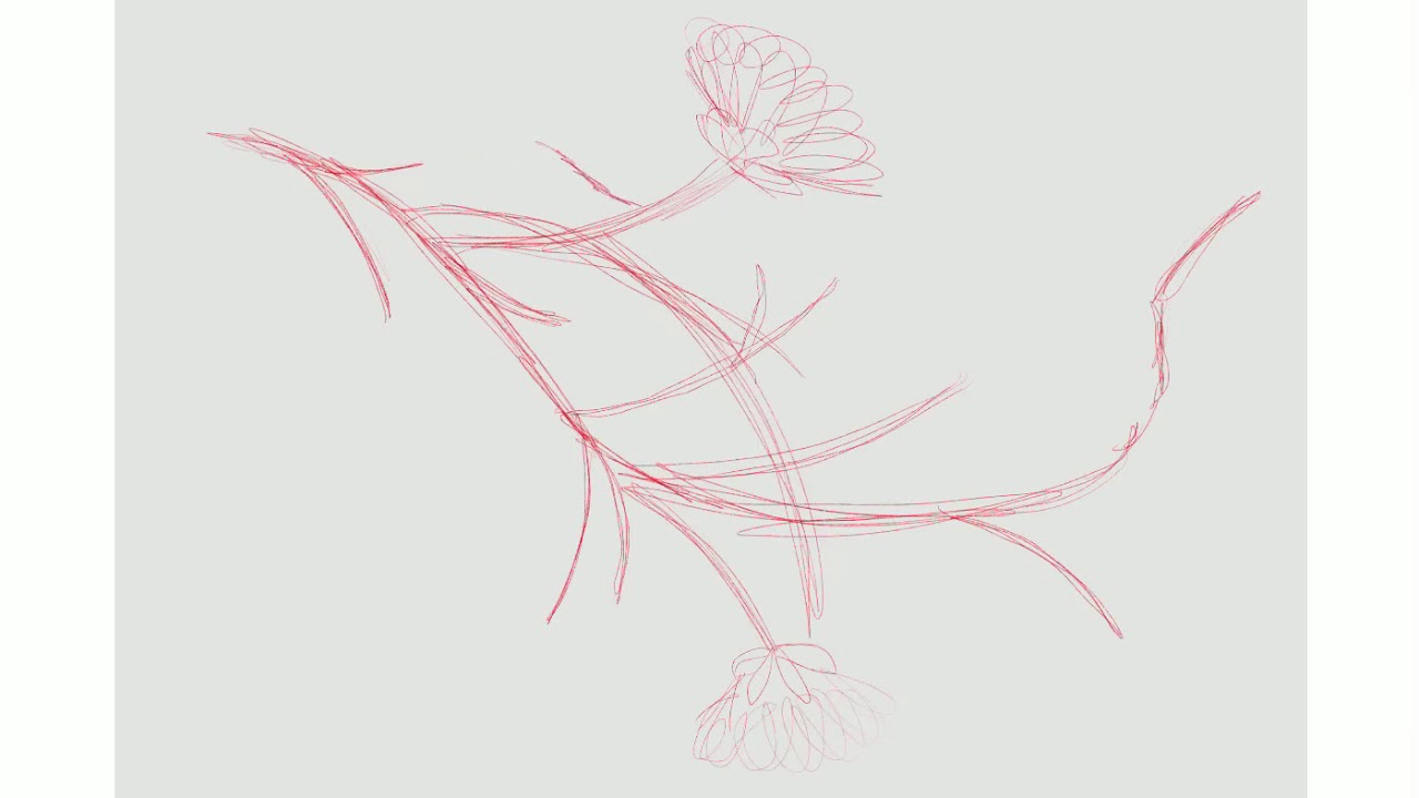 Time-lapse flower drawing // IPad + Apple Pencil 🏻 - YouTube