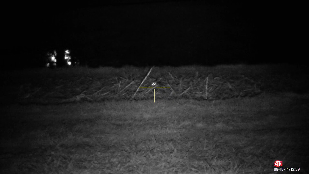 ATN Xsight 4k pro Fox Coyote Hunting - YouTube